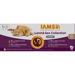 IAMS Delights Adult 48x85g 48x85 g