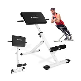 TecTake&reg; Hyperextension-Bank, R&uuml;ckenstrecker und Bauchtrainer, 5-fach verstellbar, klappbar, rutschfeste Fu&szlig;enden