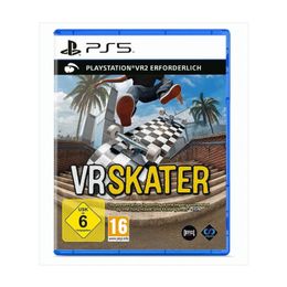 VR Skater (PlayStaiton VR2)