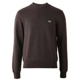 Lacoste Sweatshirt Herren Gr&ouml;&szlig;e L braun
