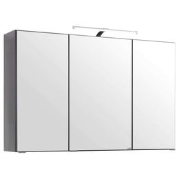 Xora Spiegelschrank, Graphit, Metall, 6 F&auml;cher, 100x64x20 cm, Made in Germany, Badezimmer, Badezimmerspiegel, Spiegelschr&auml;nke