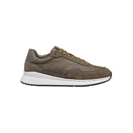 Geox Sneakers "Branthon" in Khaki - 52% | Gr&ouml;&szlig;e 41 | Herrensneakers