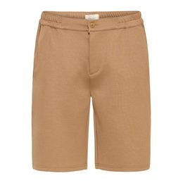Blend Chino Pants ' BHAdrian ' male Brown size XXL