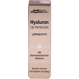 Dr.Theiss Hyaluron Lip Perfection Lippenstift rose 4 g