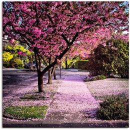 Artland Wandbild &raquo;Fallende Bl&uuml;tenbl&auml;tter&laquo; B&auml;ume 1 Stk. tlg. als Leinwandbild, Poster in verschied. Gr&ouml;&szlig;en pink
