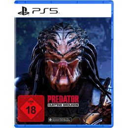 Spielesoftware &raquo;Predator Hunting Grounds&laquo; PlayStation 5 transparent Unterst&uuml;tzt bis zu 5 Online-Spieler mit PS Plus
