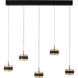 Neuhaus PURE LED Pendelleuchte &raquo;PURE Falling Rings&laquo; LED-Board 1 Stk. warmwei&szlig; - kaltwei&szlig; Comfort Lift, CCT, dimmbar, Fernbedienung, Timer