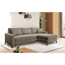 exxpo - sofa fashion Ecksofa &raquo;Quattro schlicht & zeitlos, bequem, L-Form, B/T: 247/162 cm&laquo; mit Bettfunktion & Bettkasten. Bezug komplett Webvelours 