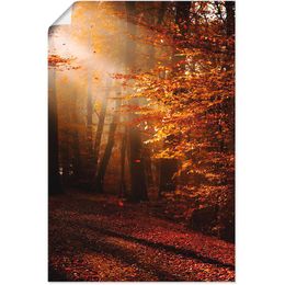Artland Wandbild &raquo;Sonnenaufgang im Herbst&laquo; Wald 1 Stk. tlg. als Leinwandbild, Poster in verschied. Gr&ouml;&szlig;en gold