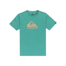 Quiksilver Jungen T-Shirt &raquo;Ev Comp Logo&laquo; 16