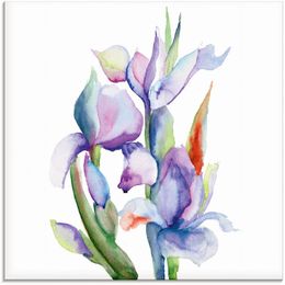 Artland Glasbild &raquo;Iris&laquo; Blumen 1 Stk. tlg. in verschiedenen Gr&ouml;&szlig;en blau