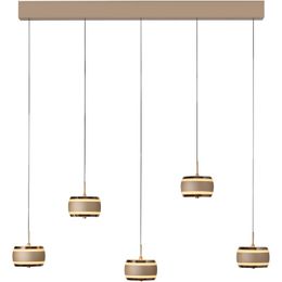 Neuhaus PURE LED Pendelleuchte &raquo;PURE Falling Rings&laquo; LED-Board 1 Stk. warmwei&szlig; - kaltwei&szlig; Comfort Lift, CCT, dimmbar, Fernbedienung, Timer