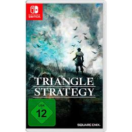 Spielesoftware &raquo;Triangle Strategy&laquo; bunt