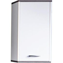 Welltime H&auml;ngeschrank &raquo;Sanremo&laquo; Badschrank mit 2 F&auml;chern in Wei&szlig;/Rauchsilber - (B/T/H) 32/21/60 cm silber
