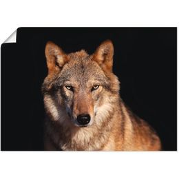 Artland Poster &raquo;Wolf&laquo; Wildtiere 1 Stk. tlg. ohne Rahmen braun