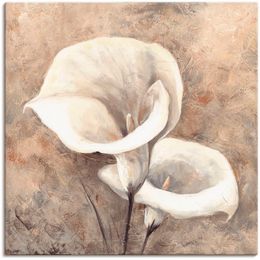 Leinwandbild Artland "Klassische Callas", beige (farbe bild(er): naturfarben), B:40cm H:40cm, Bilder, Leinwandbild, auf Holzrahmen gespannt