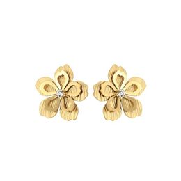NAEMI Women Earrings in Gold | Gr.: onesize
