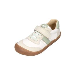 KOEL Sneaker Low DYLAN LEATHER 3.0 in gr&uuml;n | Gr.: 24