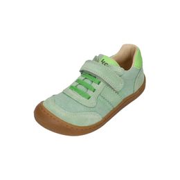 KOEL Sneaker Low DYLAN COTTON 3.0 in gr&uuml;n | Gr.: 27