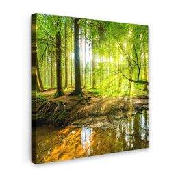OnlyWow Leinwand Bilder Waldlicht | Gr.: 20 x 20 cm