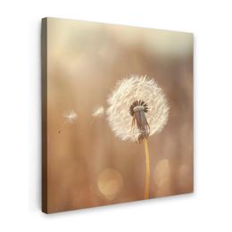 MuchoWow Leinwand Bilder Nahaufnahme Flaum | Gr.: 20 x 20 cm