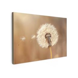 MuchoWow Leinwand Bilder Nahaufnahme Flaum | Gr.: 30 x 20 cm