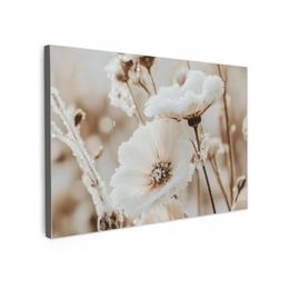 OnlyWow Leinwand Bilder Creme | Gr.: 60 x 40 cm