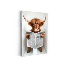 OnlyWow Leinwand Bilder Zeitung Schottisches Hochlandrind | Gr.: 40 x 60 cm