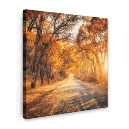 OnlyWow Leinwand Bilder Waldweg | Gr.: 20 x 20 cm