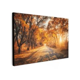OnlyWow Leinwand Bilder Waldweg | Gr.: 80x60 cm