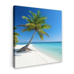 OnlyWow Leinwand Bilder Palme | Gr.: 50 x 50 cm