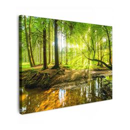 MuchoWow Leinwand Bilder Waldlicht | Gr.: 30 x 20 cm
