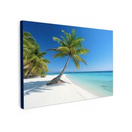 OnlyWow Leinwand Bilder Palme | Gr.: 40 x 30 cm
