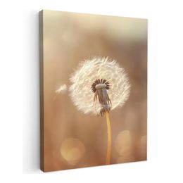 OnlyWow Leinwand Bilder Nahaufnahme Flaum | Gr.: 40 x 60 cm
