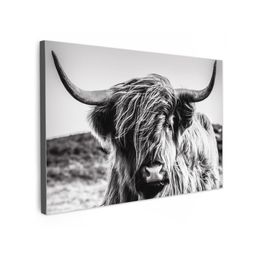 OnlyWow Leinwand Bilder Schottisches Hochlandrind | Gr.: 30 x 20 cm