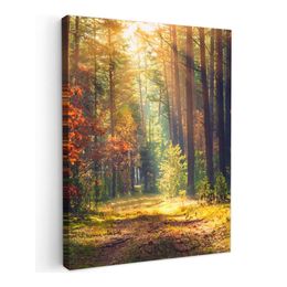 OnlyWow Leinwand Bilder Waldpfad | Gr.: 30 x 40 cm