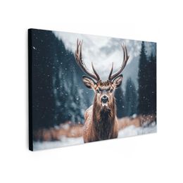 OnlyWow Leinwand Bilder Kastanienfarben | Gr.: 60 x 40 cm