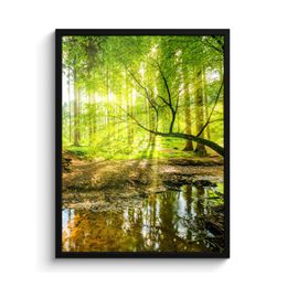 OnlyWow Poster mit Leiste Waldlicht | Gr.: 40 x 60 cm