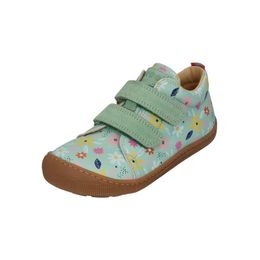 KOEL Sneaker Low DANNY PRINT in bunt | Gr.: 23