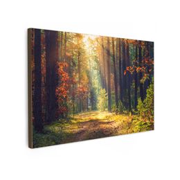 OnlyWow Leinwand Bilder Waldpfad | Gr.: 90 x 60 cm
