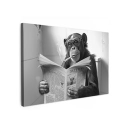 OnlyWow Leinwand Bilder Zeitung Affe | Gr.: 40 x 30 cm