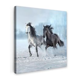 OnlyWow Leinwand Bilder Anthrazit | Gr.: 90 x 90 cm