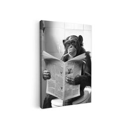 OnlyWow Leinwand Bilder Zeitung Affe | Gr.: 50 x 70 cm