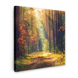 OnlyWow Leinwand Bilder Waldpfad | Gr.: 20 x 20 cm