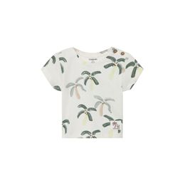 Noppies T-Shirt (GOTS) Jungen Gr&ouml;&szlig;e 86 grasgr&uuml;n / offwhite