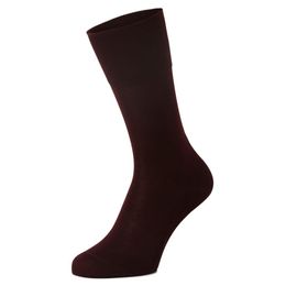 Falke Socken in bordeaux - 0001 | Gr.: 45/46