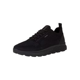 Geox Sneaker in Schwarz | Gr.: 40