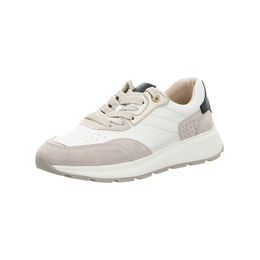 Gabor Sneaker in beige | Gr.: 40-dot-5