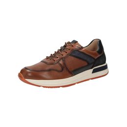 Sioux Sneaker 'Rojaro-719' Herren Gr&ouml;&szlig;e 41.5 dunkelbraun / schwarz