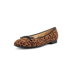 Ara Ballerinas in Animal | Gr.: 42